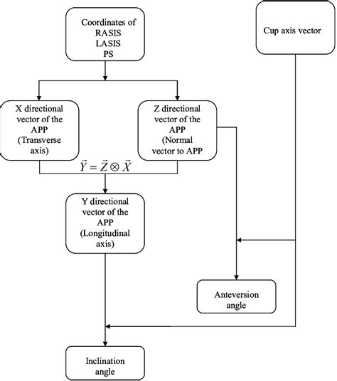 Flow Chart Of Angle Calculation Algorithm Download Scientific Diagram