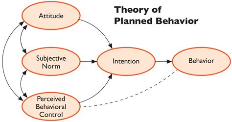 What Is Modeling Behavior Theory At Rachael Sattler Blog