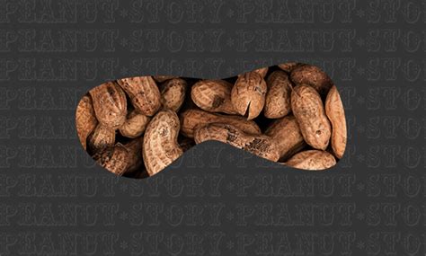 Zim Javascript Canvas Framework Teach Zimjs Code Creativity