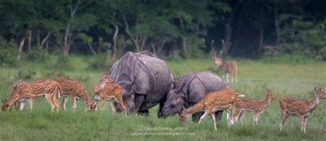 Sayak Dutta On Linkedin Happynewyear