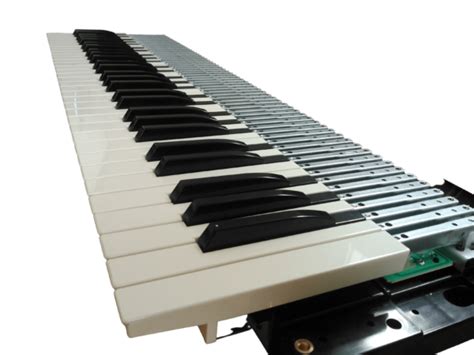 Tapered Tail Fatar Keyboard Arnold Organs
