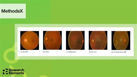 Duhok Polytechnic University