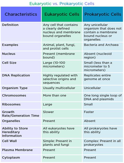 IMAT 2011 Q44 Prokaryotic And Eukaryotic Cells Past Papers