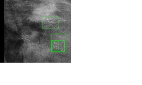 Test · Issue 655 · Open Mmlab Mmdetection · Github