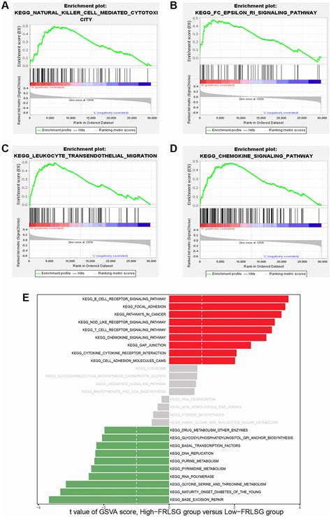 Clinical Outcomes And Potential Therapies Prediction Of Subgroups Based