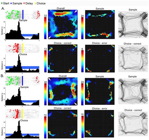 Directional Coding And Timing Properties Of Movement Ii Neurons Raster Download Scientific