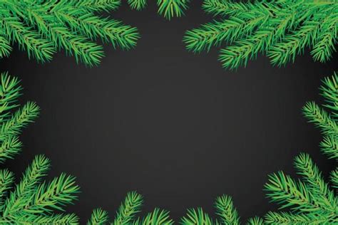 Pine Tree Border Vector Art Icons And Graphics For Free Download