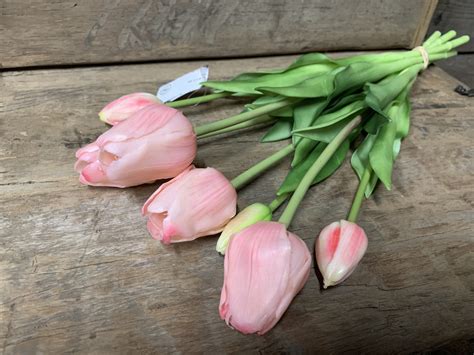 Jwm Lifestyle Tulp Open Roze 7017 7