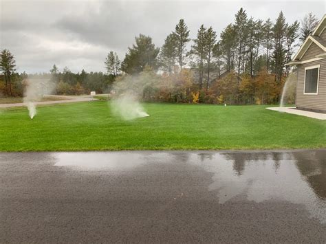 Lawn Rust How To Identify Treat And Prevent This Common Lawn Fungus