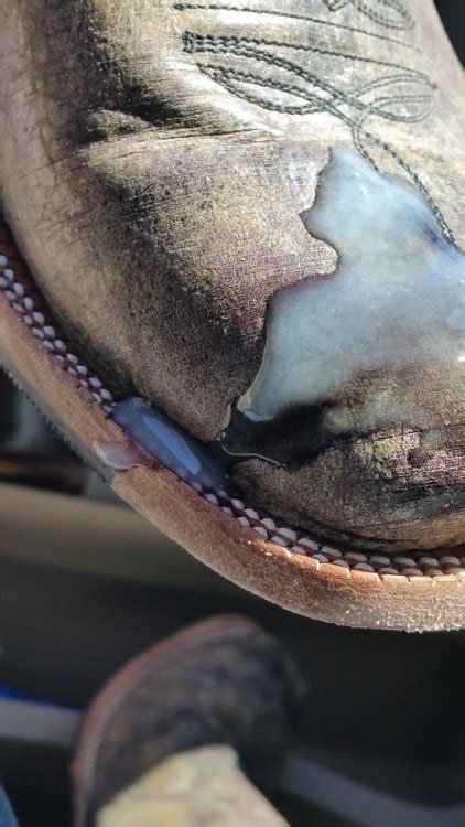 Horny Cowbabe On Tumblr