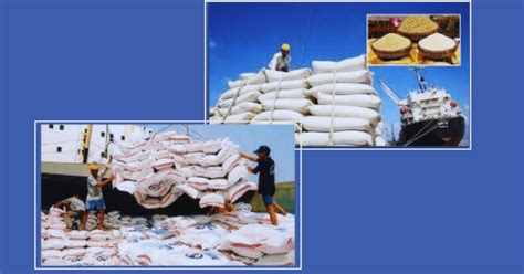 កម្ពុជា នាំចេញអង្ករទទួលបានទឹកប្រាក់ជាង ៣២លានដុល្លារ ខណៈ ស្រូវទទួលបានជាង ១៨៤លាន ដើមឆ្នាំ២០២៤