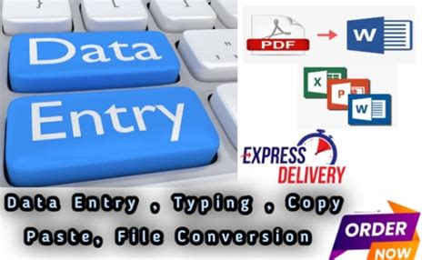 Do Data Entry Typing File Conversion By Mzubairpk2023 Fiverr
