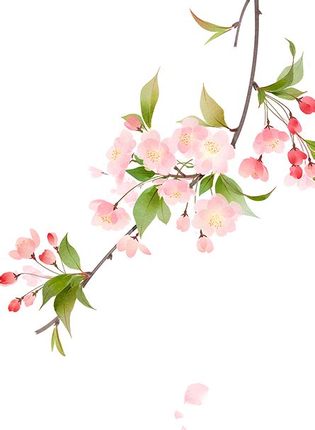 【初音未来16周年】纪念企划启动！官网、主视觉、概念视觉图等首发消息公布 品牌动态 上海新创华文化发展有限公司