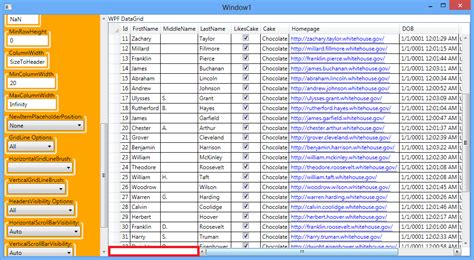 C Adding Any Control At The Horizontal Scrollbars Blank Area When