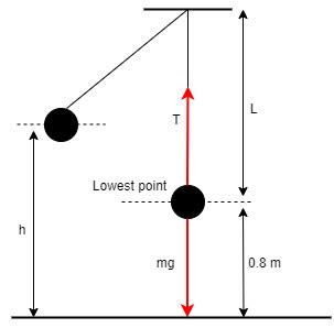 You Are Designing A Pendulum For A Science Museum The Pendulum Is Made By Attaching A Brass