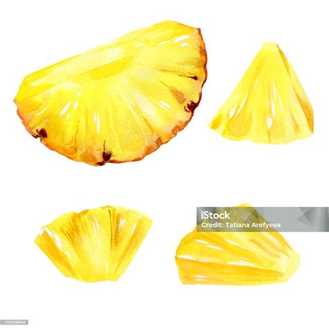 파인애플 조각 파인애플의 잘 익은 삼각형 조각 열대 과일의 스케치 수채화 배경에 분리된 음식 그림 개체 그룹에 대한 스톡 벡터