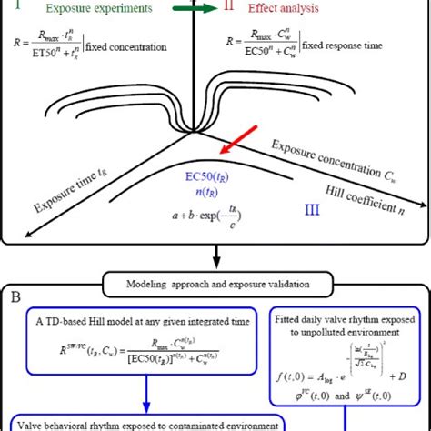 Flowchart Showing The Modeling Methodology For AI The RVC RSW Based Download Scientific