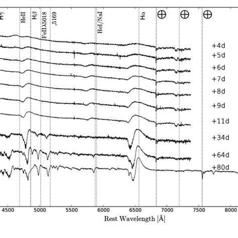 the full spectroscopic time series in logarithmic scale and corrected