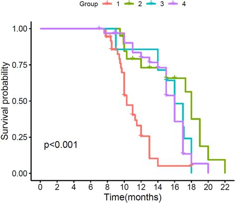 Kaplan Meier Analysis Of Progression Free Survival Classified By The
