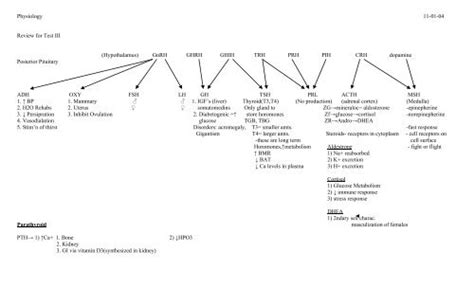 Thyroid Hormone Flow Chart Ponasa