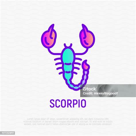 전갈 자리 얇은 라인 아이콘입니다 별자리에 대한 점성술 기호의 현대 벡터 그림입니다 곤충에 대한 스톡 벡터 아트 및 기타 이미지