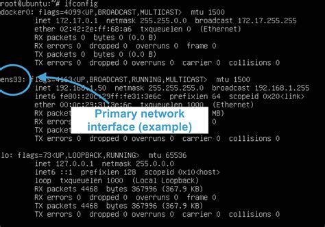 using dhcp on the agent