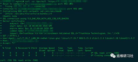 Nginx 连接被重置这些 Nginx 常见异常,帮你快速定位故障 Csdn博客 Nginx 连接被重置这些 Nginx 常见异常,帮你快速定位故障 Csdn博客