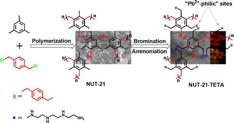 Highly Efficient Capture Of Heavy Metal Ions On Amine Functionalized Porous Polymer Gels