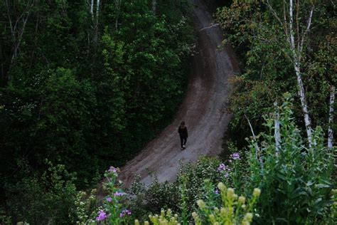 무료 이미지 나무 숲 잔디 폭포 황야 사람 소녀 도로 하이킹 꼬리 목초지 꽃 운영 혼자 산책 녹색 밀림 어린이 인간의 우정 초목