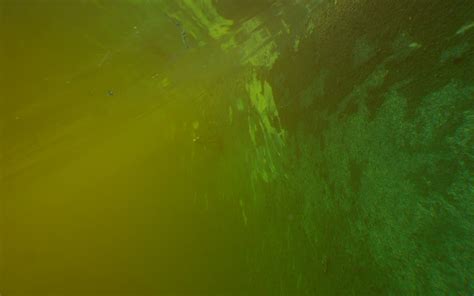 Robosub Gate Buoy 2023 Object Detection Dataset By Auviitb