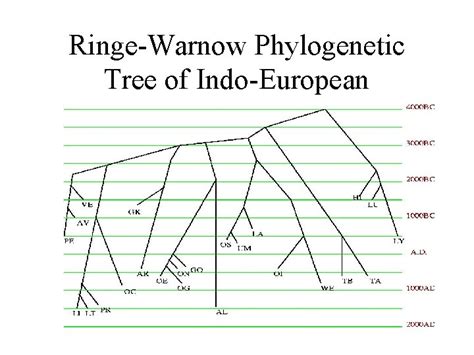 Challenges In Computational Phylogenetics Tandy Warnow Radcliffe Institute