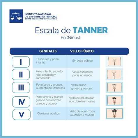 Escala De Tanner Pubertad