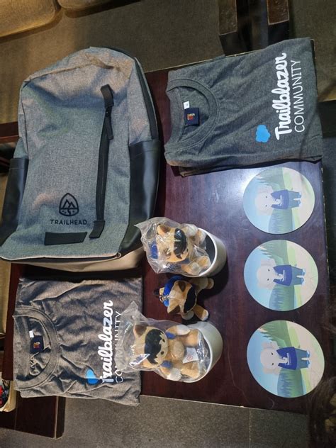 Salesforce Admin Group Ajmer India On Linkedin Glimpse Recent Event