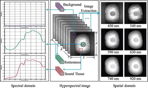 Conceptual View Of Spectral And Spatial Domain Of Hsi [49] Download