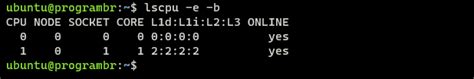 Lscpu Command In Linux Uses Of Lscpu Command With Examples