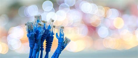 Lots Of Rj45 Utp Cat6 Lan Internet Network Cable Fiber Optic And Ethernet Cables For Computer