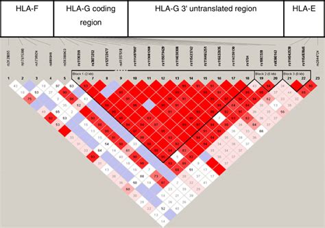 Linkage Disequilibrium Map Ld Of Hla G Markers Typed In Healthy Download Scientific Diagram