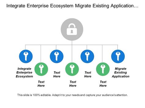 Integrate Enterprise Ecosystem Migrate Existing Application Established