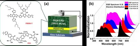 New Breakthrough Photomultiplication Type All Polymer Photodetectors With Single Carrier