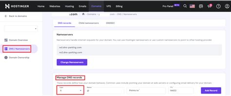 How To Add TXT Record In Hostinger Digital Farhan Bajrai