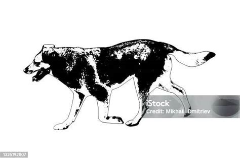 실행 개 흑백 프로필 입을 벌리고 혀가 튀어 나와 혼합 품종의 성인 큰 개 0명에 대한 스톡 벡터 아트 및 기타 이미지 0명 가축 개 Istock