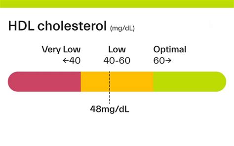 Xét Nghiệm Hdl Cholesterol đánh Giá Bệnh Tim Mạch Trung Tâm Xét Nghiệm Huyết Học Hematolab