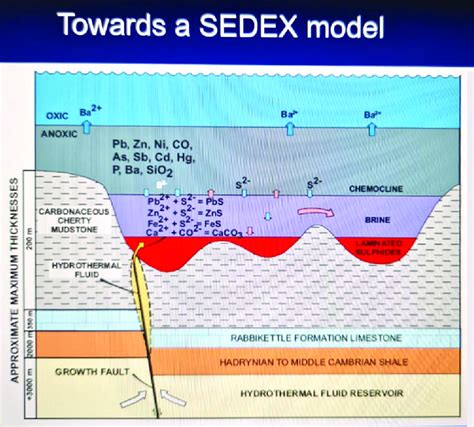 Typical Model Of The Sedex Deposit According To Download Scientific Diagram