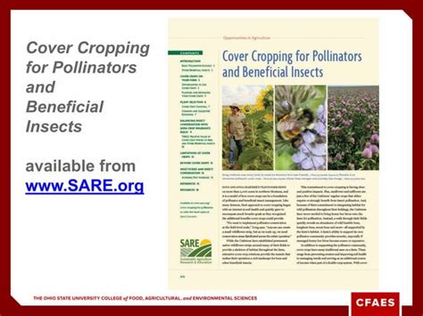 Sarah Noggle Cover Crop Decision Tool Selector Ppt