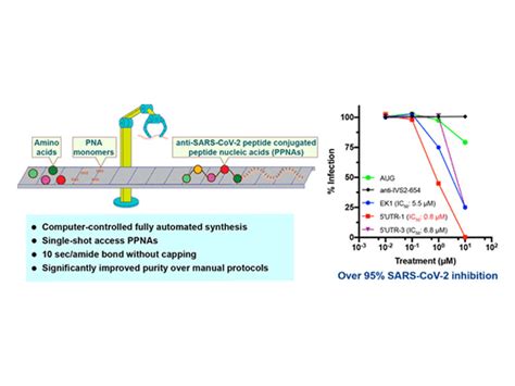 Pentelute Lab MIT Automated Flow Synthesis Of PeptidePNA Conjugates