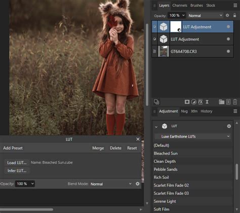How To Import Use LUTs In Affinity Photo Luxe LUTs The Luxe Lens