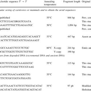 Primers Used In This Study Download Table