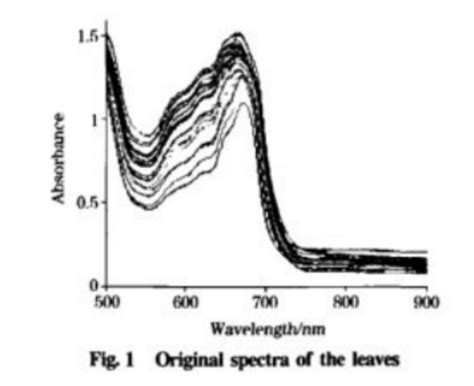 Research On Non Destructive Detection Method Of Plant Chlorophyll Content Based On Visible Near
