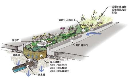 海绵城市建设重要知识点，你知道吗？ 知乎