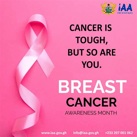 Breast Cancer Awareness Internal Audit Agency